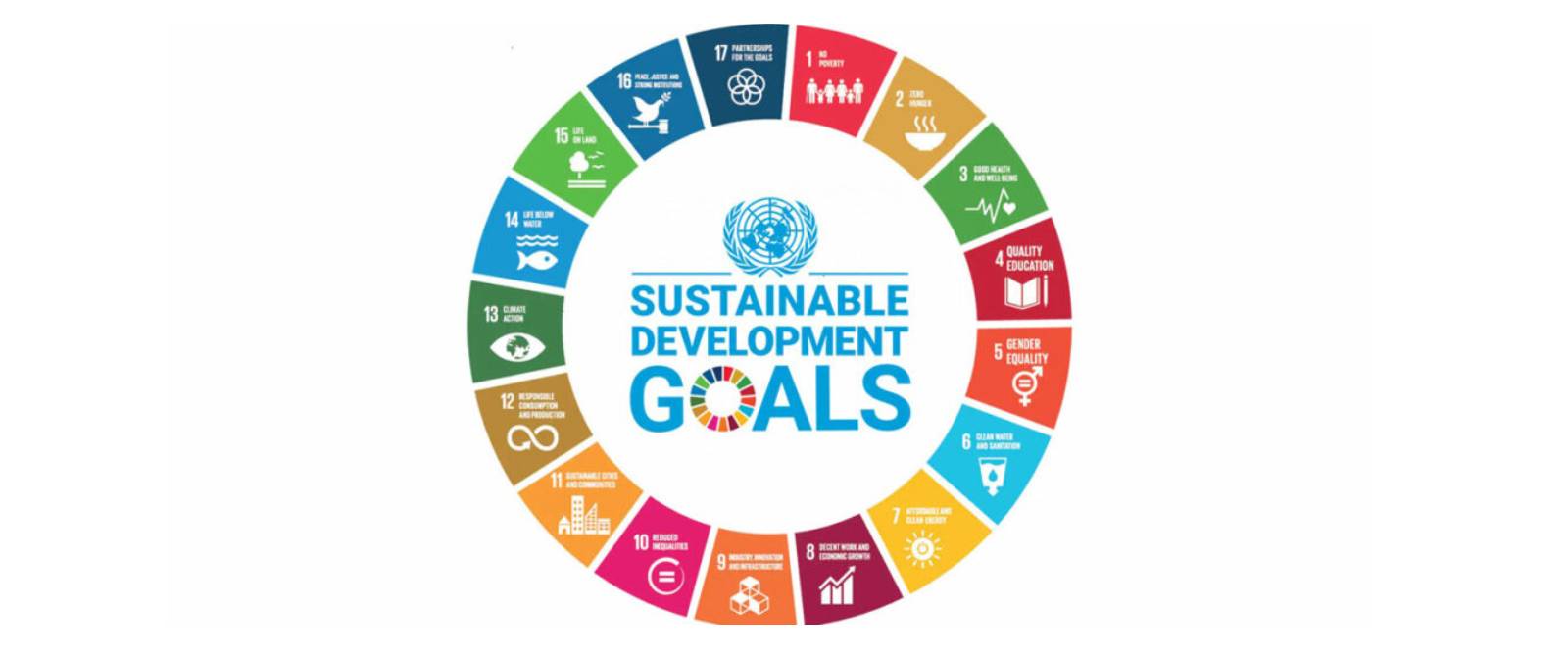 Università IULM succeeds in THE Impact Rankings 2023